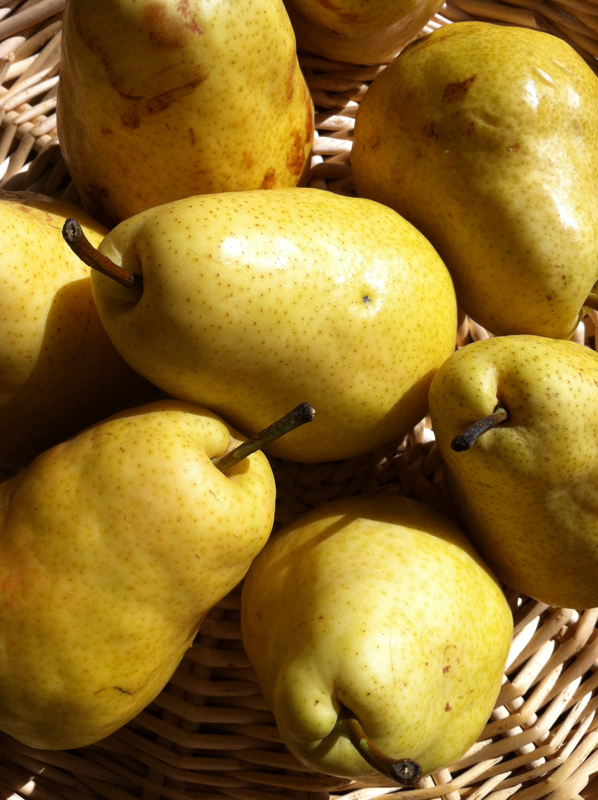 Amaretto Pear Preserves – Pachamama's Beautiful Food